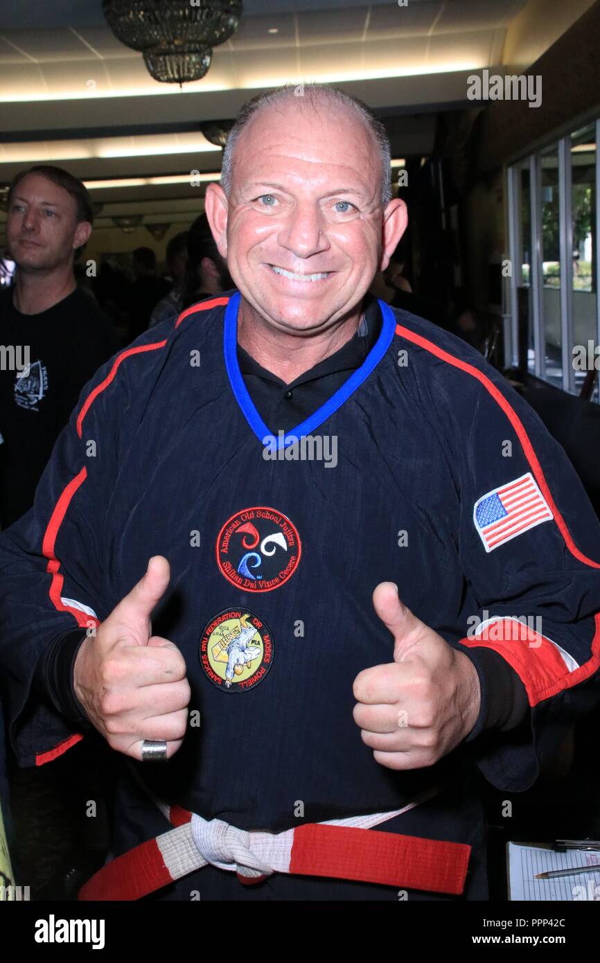 2018 Dragonfest Expo, held at the Pickwick Gardens Convention Center in ...