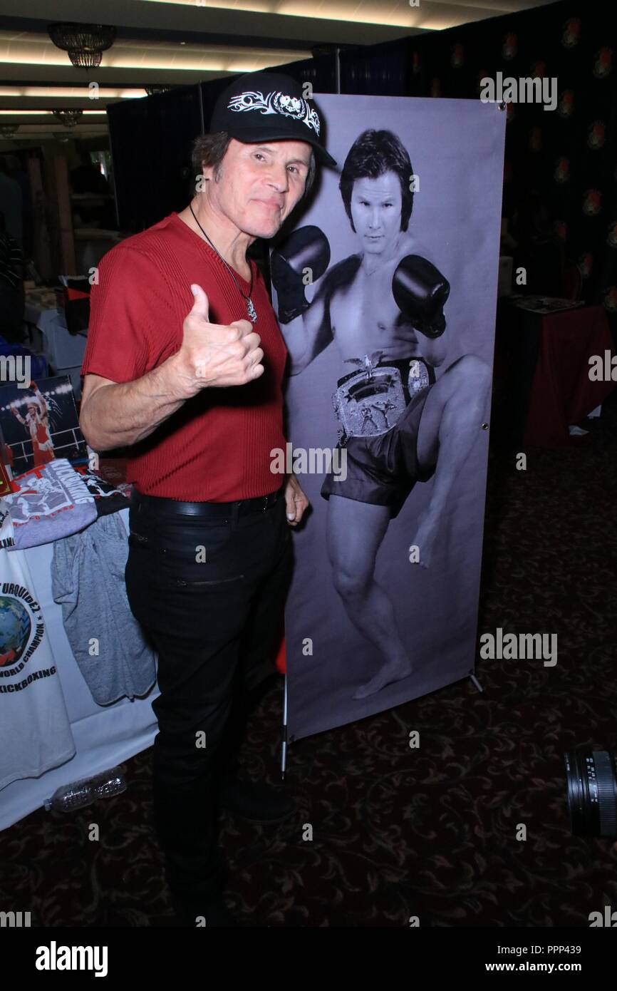 2018 Dragonfest Expo, held at the Pickwick Gardens Convention Center in ...