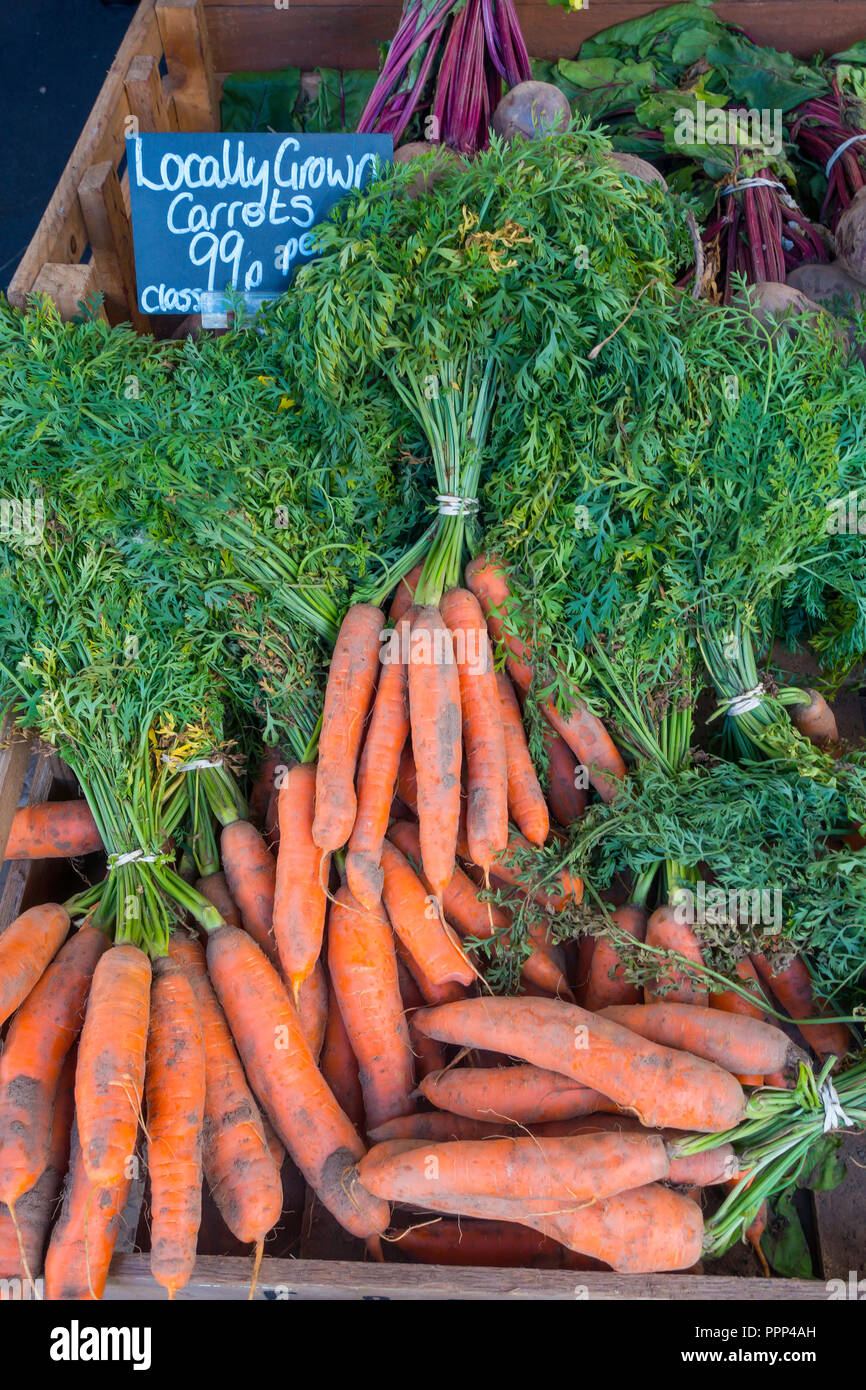 Fresh locally grown carrots in a greengrocery in Thirsk North Yorkshire ...