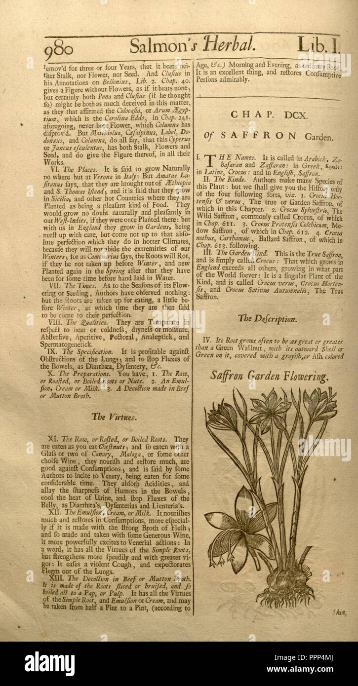 Botanologia, the English herbal, or, History of plants (Page 978 Stock ...