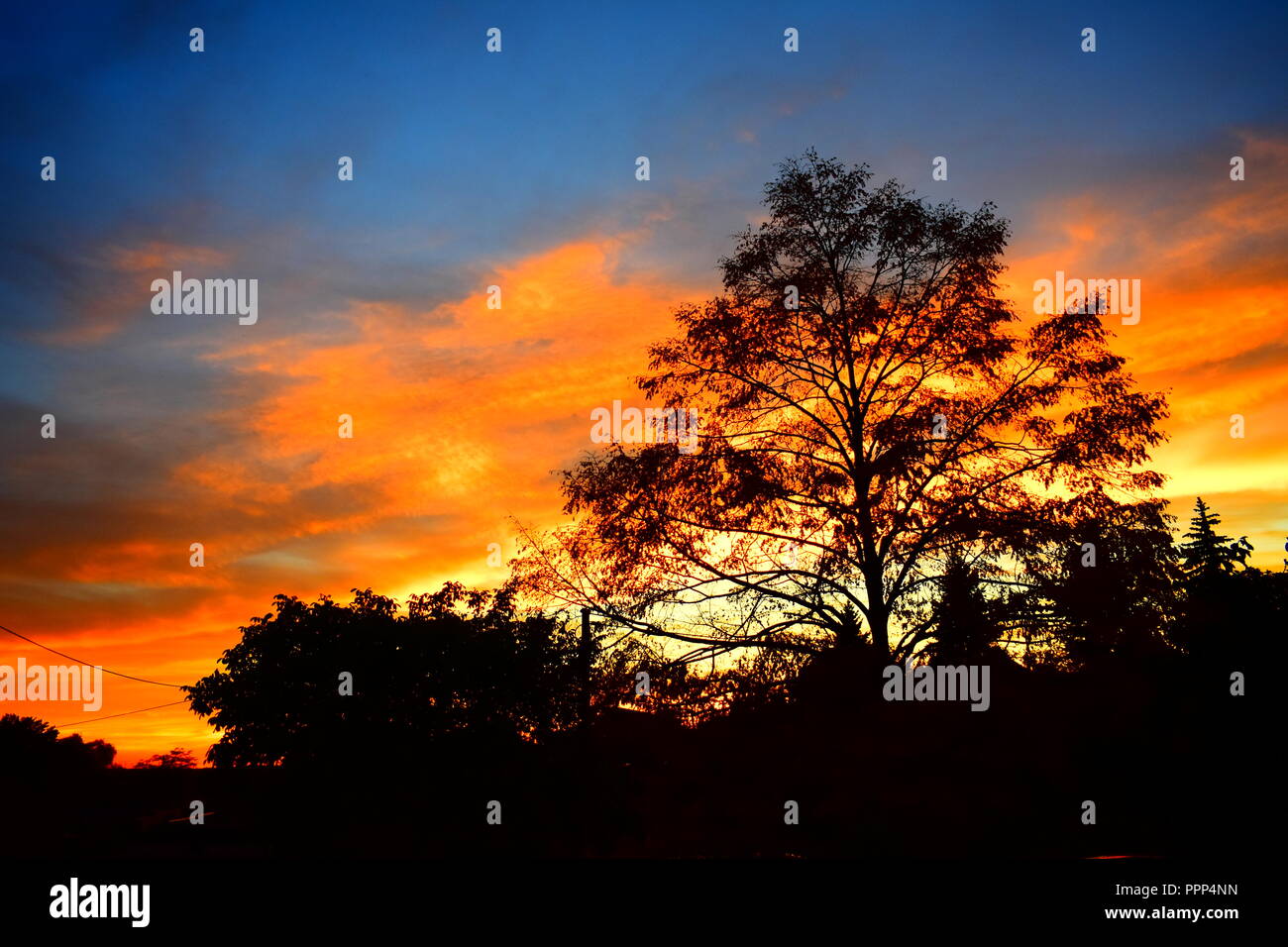 sunset in the twilight Stock Photo - Alamy