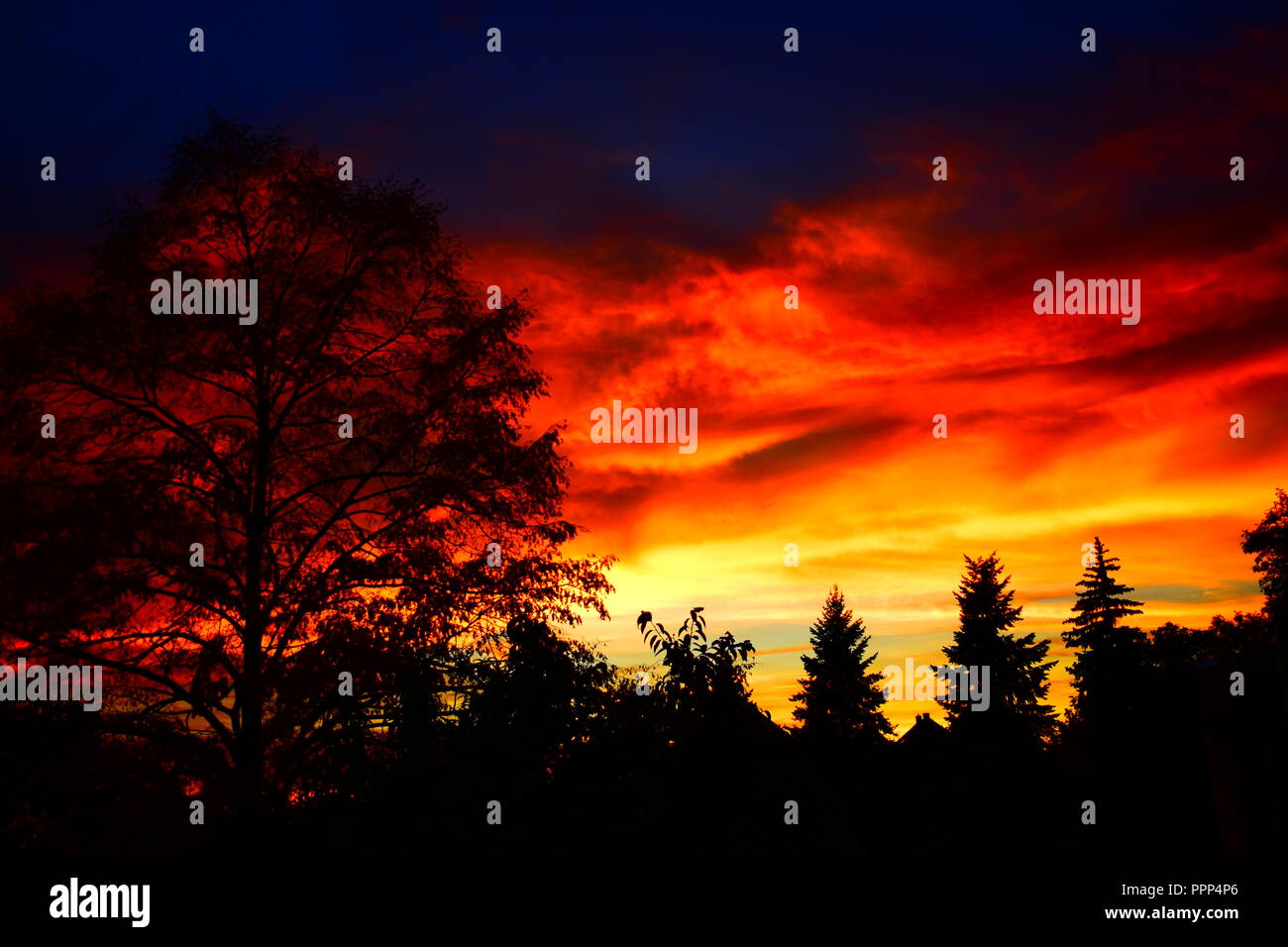 sunset in the twilight Stock Photo - Alamy