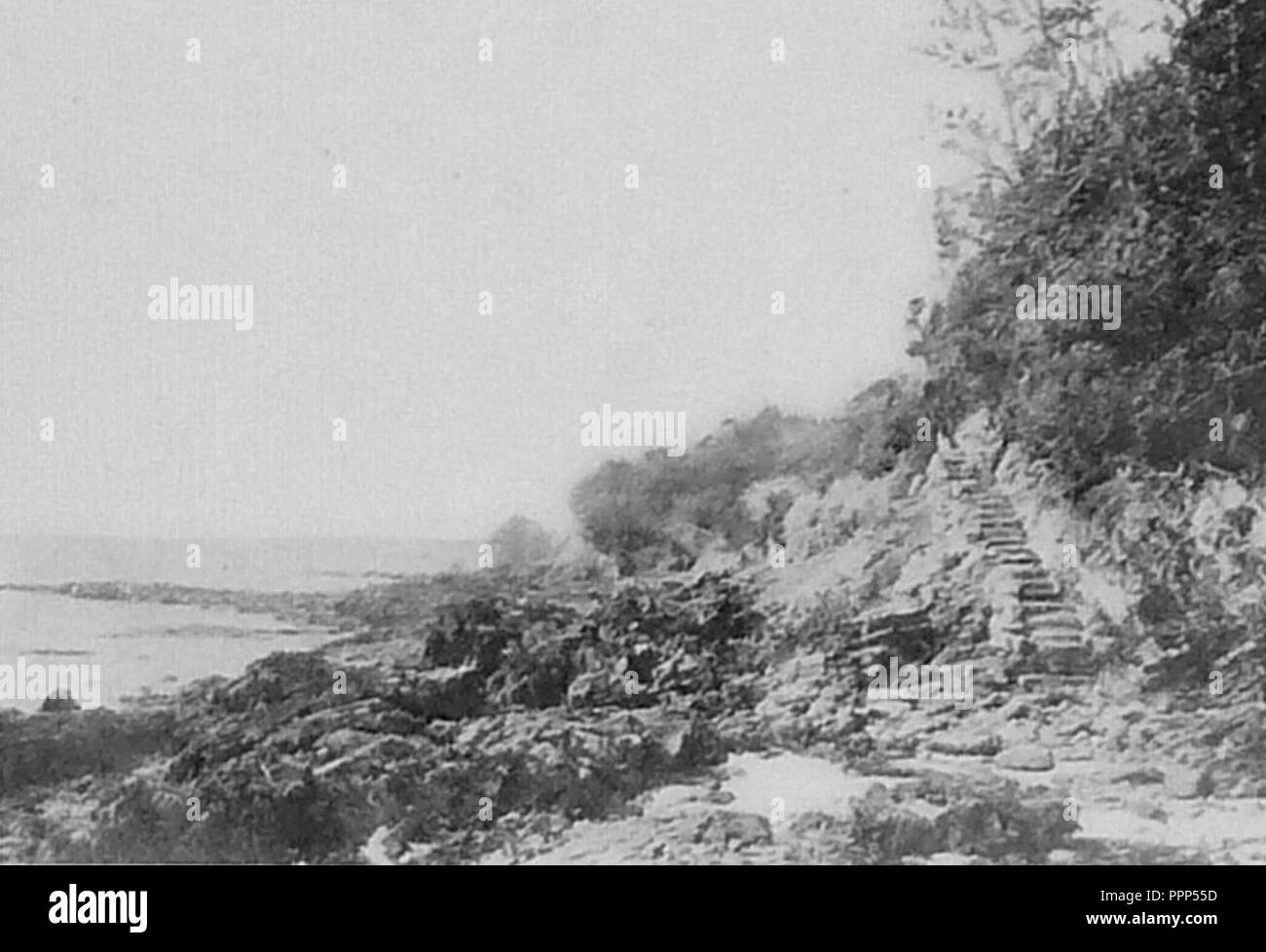 Bot image Black and White Stock Photos & Images - Alamy