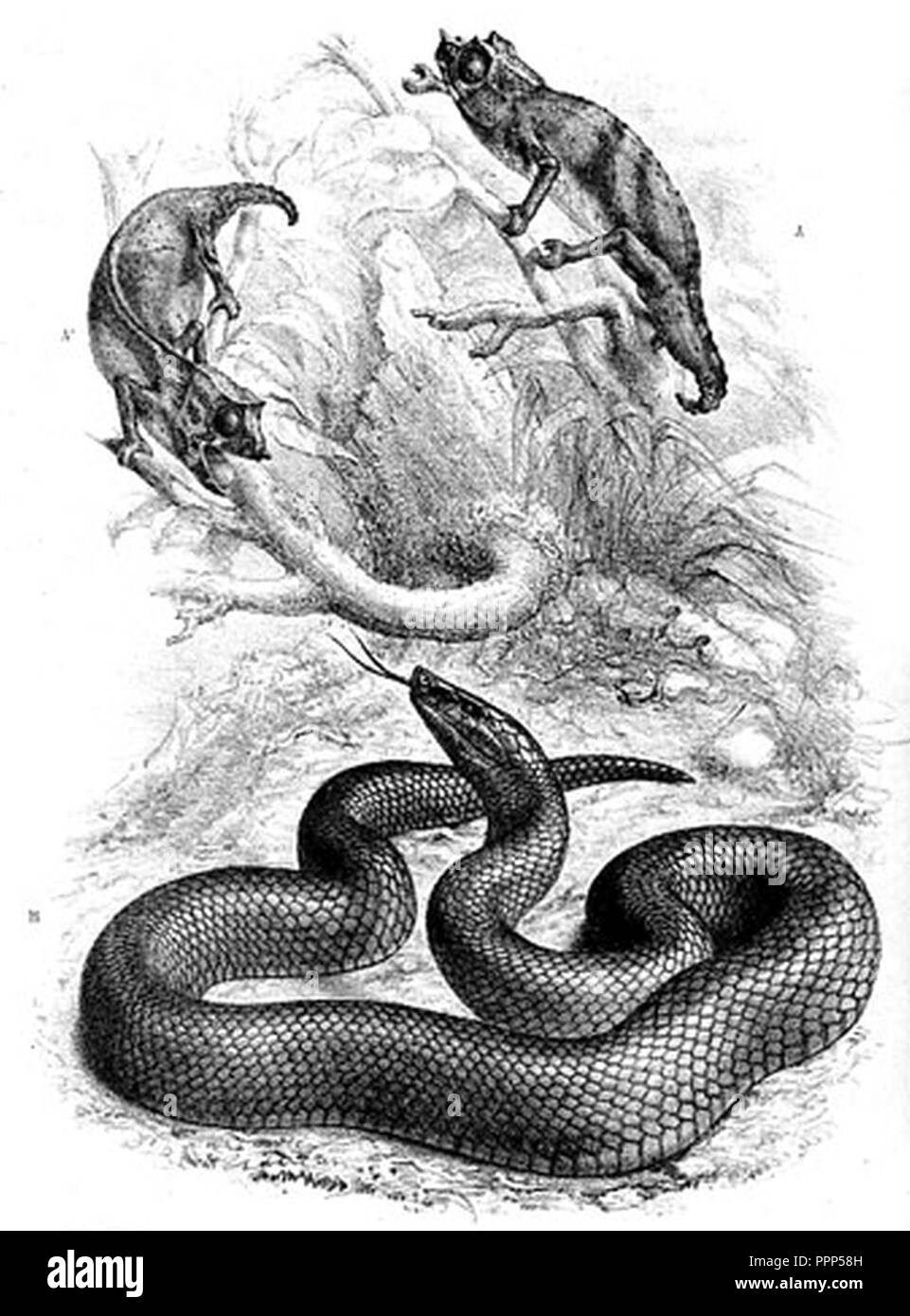 Ater Cut Out Stock Images & Pictures - Alamy