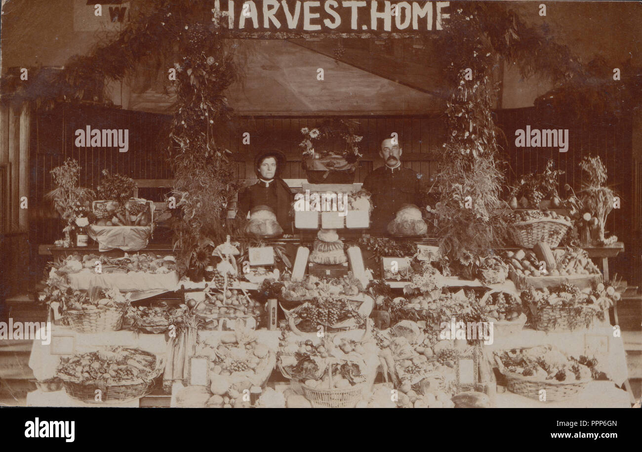 Vintage Harvest Postcards