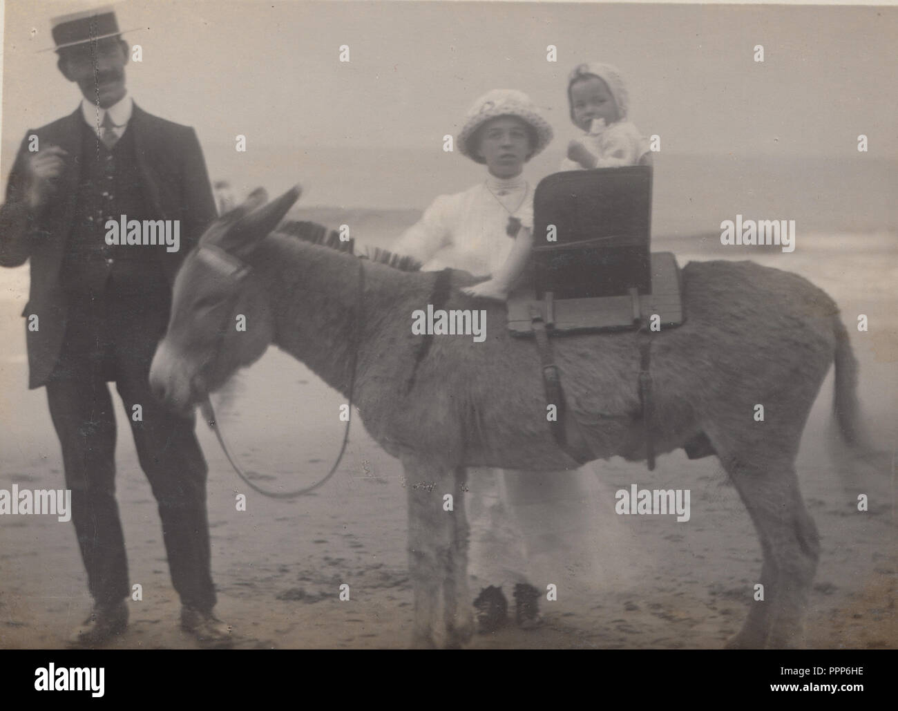 Vintage Photograph of a Young Child Riding on a Donkey at The Seaside ...