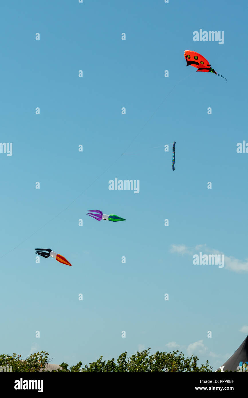 Kite competition on a sunny hot day. Colorful, creative kites fly ...