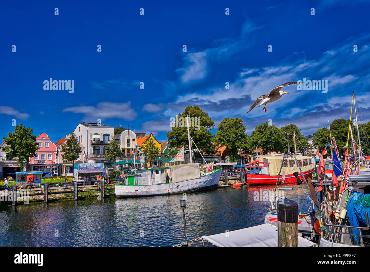 Ships beak hi-res stock photography and images - Alamy