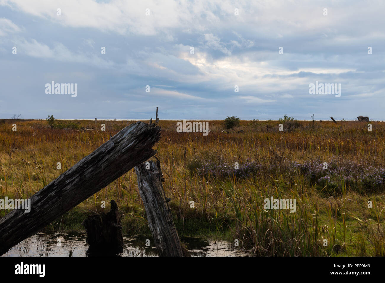 Silt river delta hi-res stock photography and images - Alamy