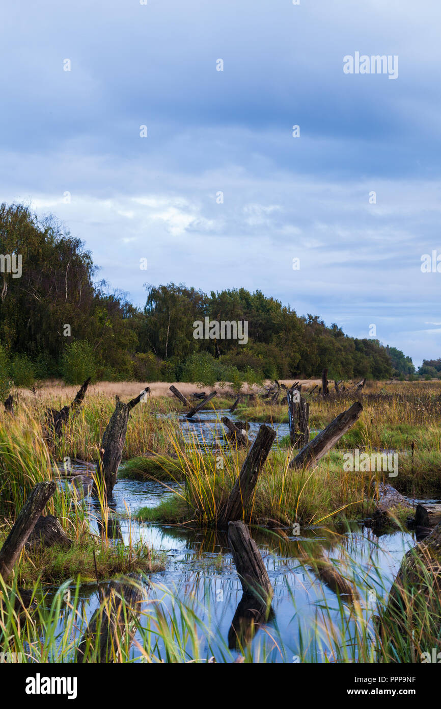 Fraser coastal region hi-res stock photography and images - Alamy