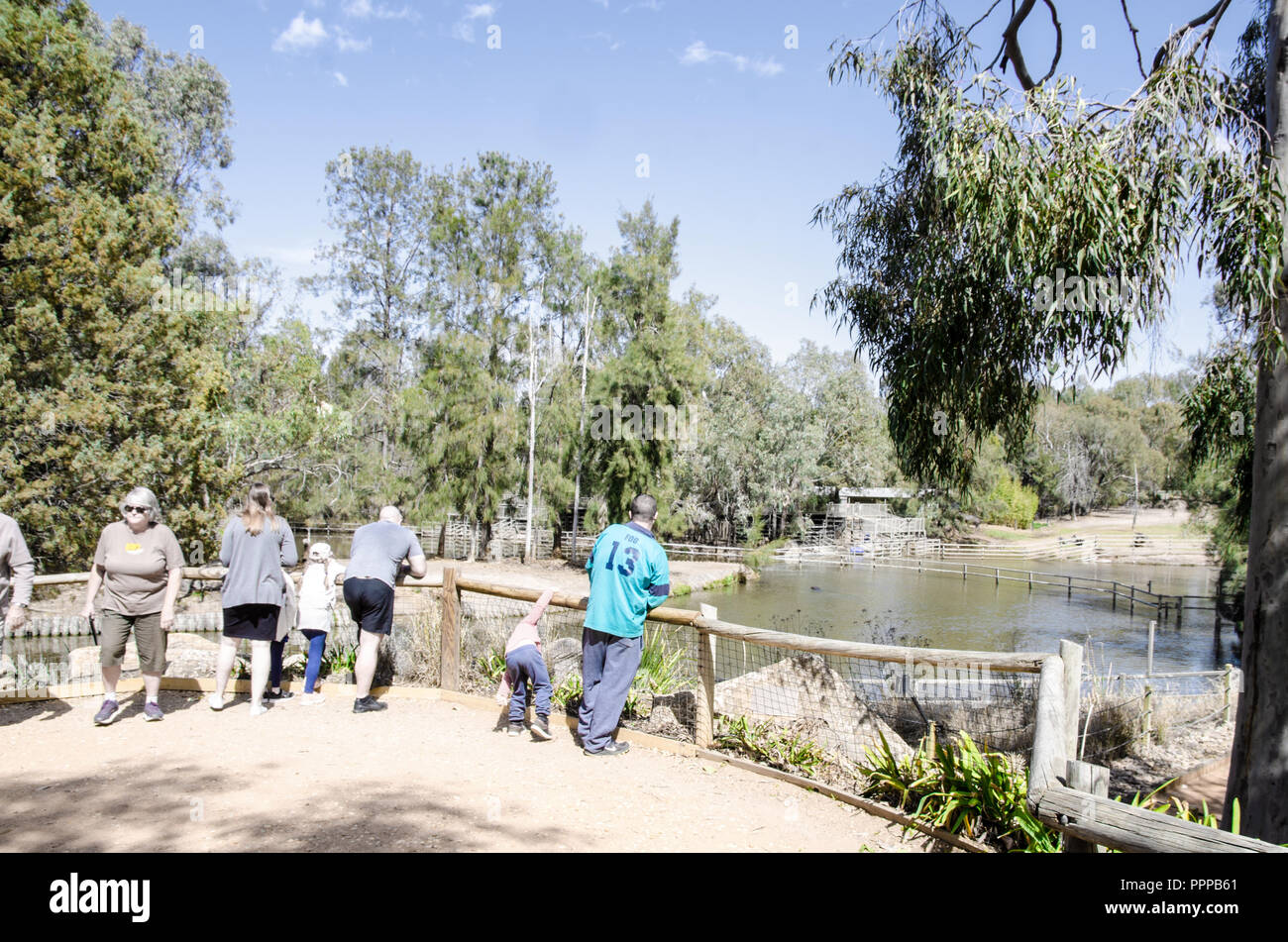 Taronga zoo nsw australia family hi-res stock photography and images ...
