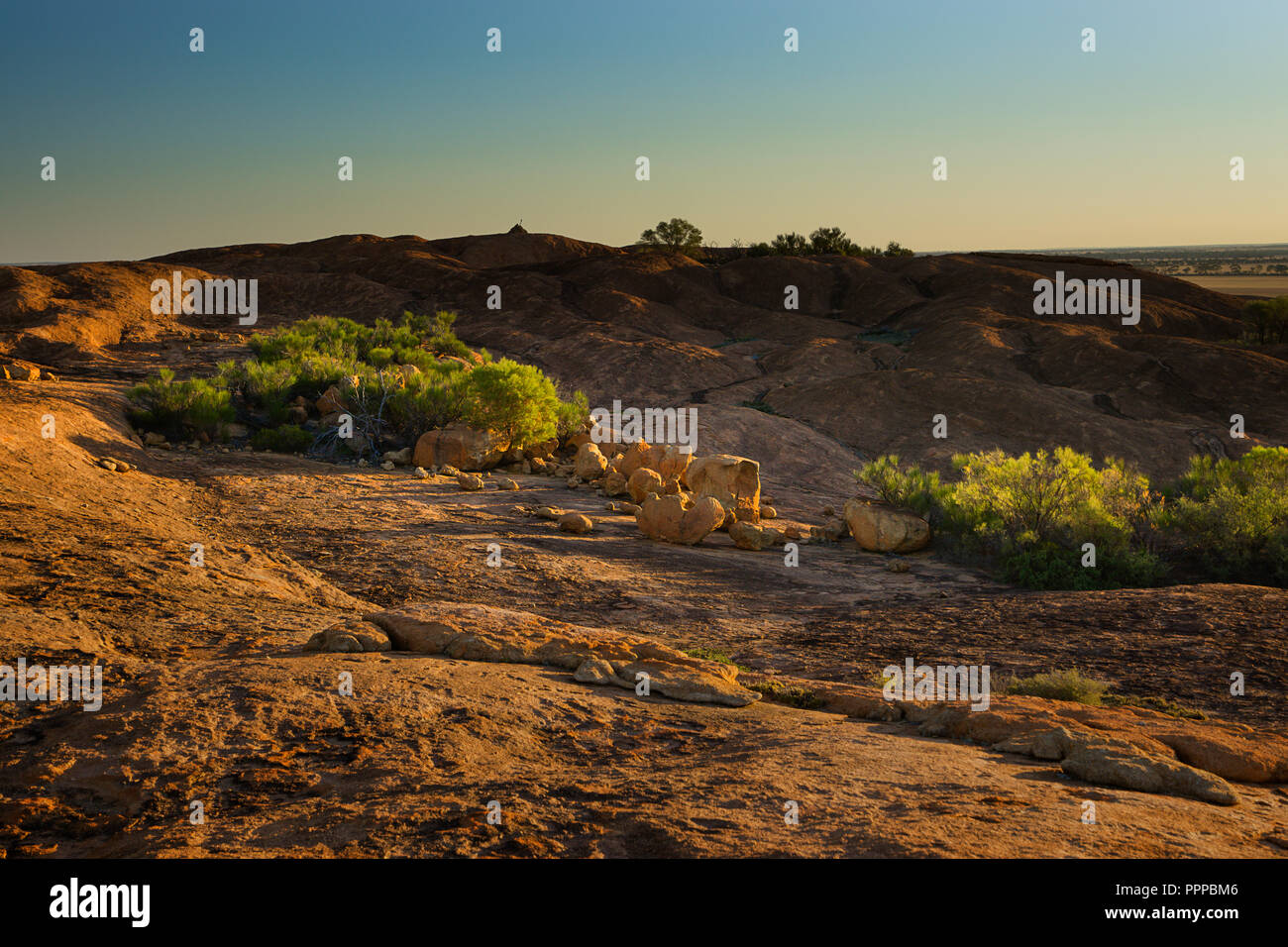 Large depression supporting various vegetation on top of Elachbutting ...