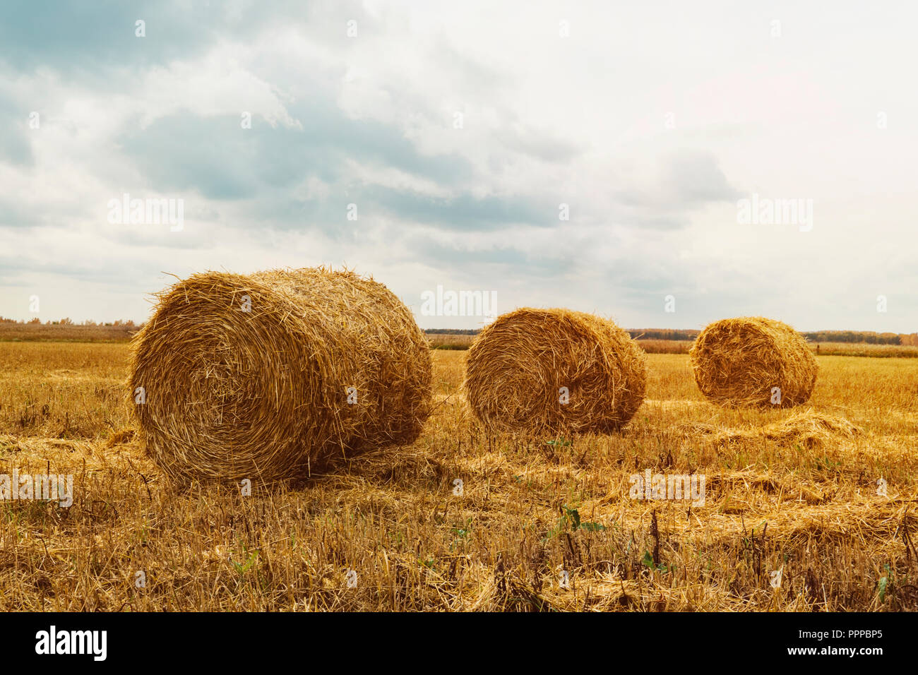 Crop circle field hi-res stock photography and images - Alamy