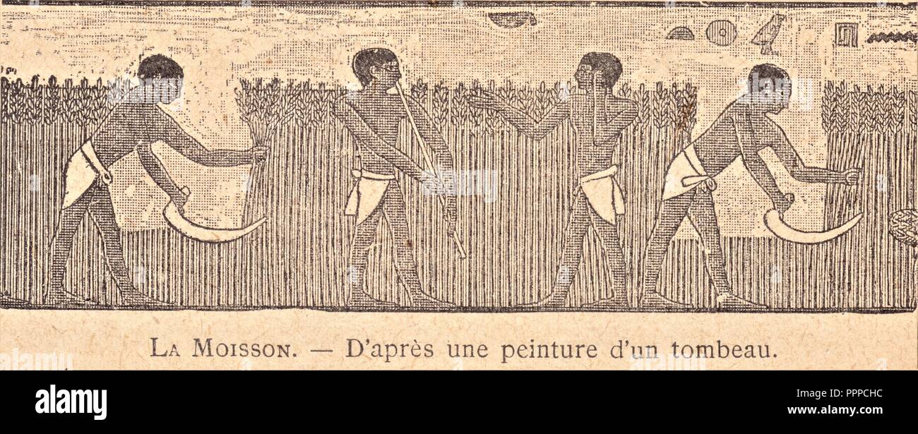 Moisson hi-res stock photography and images - Alamy