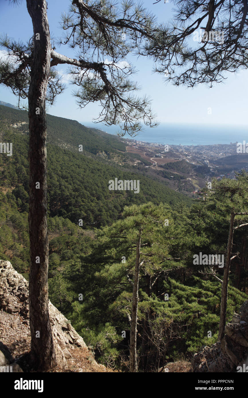 Crimean forest hi-res stock photography and images - Alamy
