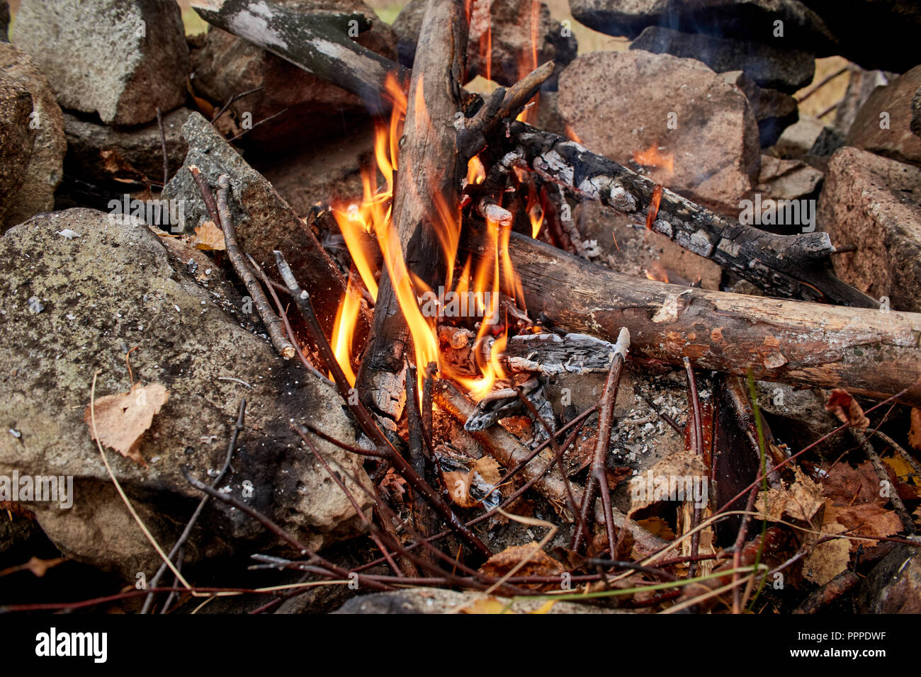 Campfire is lit in the autumn forest. Dry twigs burning on a background ...
