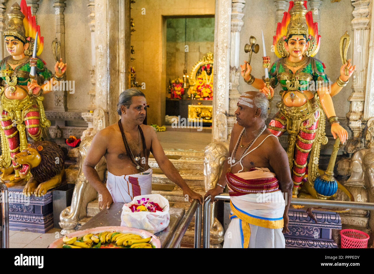 Brahman culture hi-res stock photography and images - Alamy