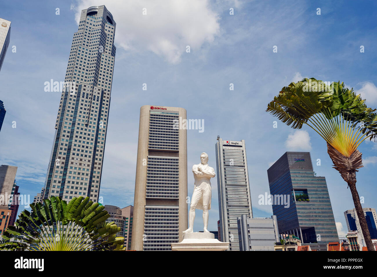 Raffles palm hi-res stock photography and images - Alamy