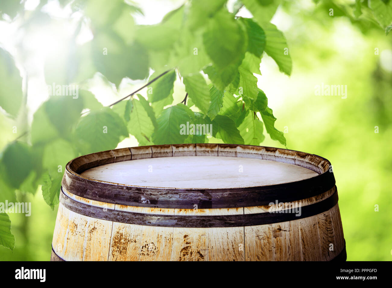 Old barrel top for display montages Stock Photo - Alamy