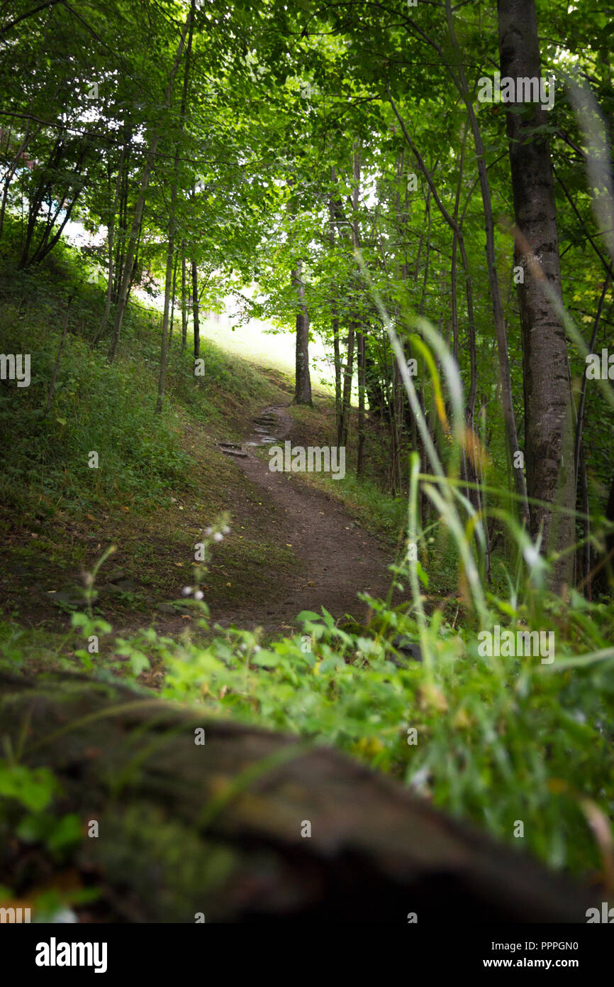 Winding path gate hi-res stock photography and images - Alamy