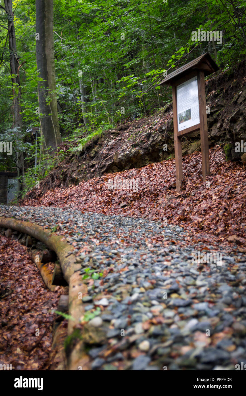 Path in the Italian Forest Stock Photo - Alamy
