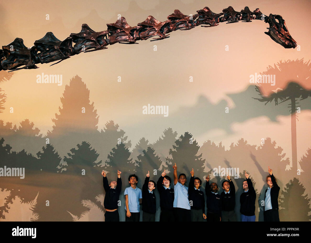 Pupils from Botanic Primary school view Dippy, The Natural History ...