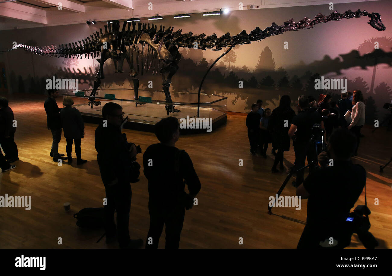 Members of the media with Dippy, The Natural History Museum's ...