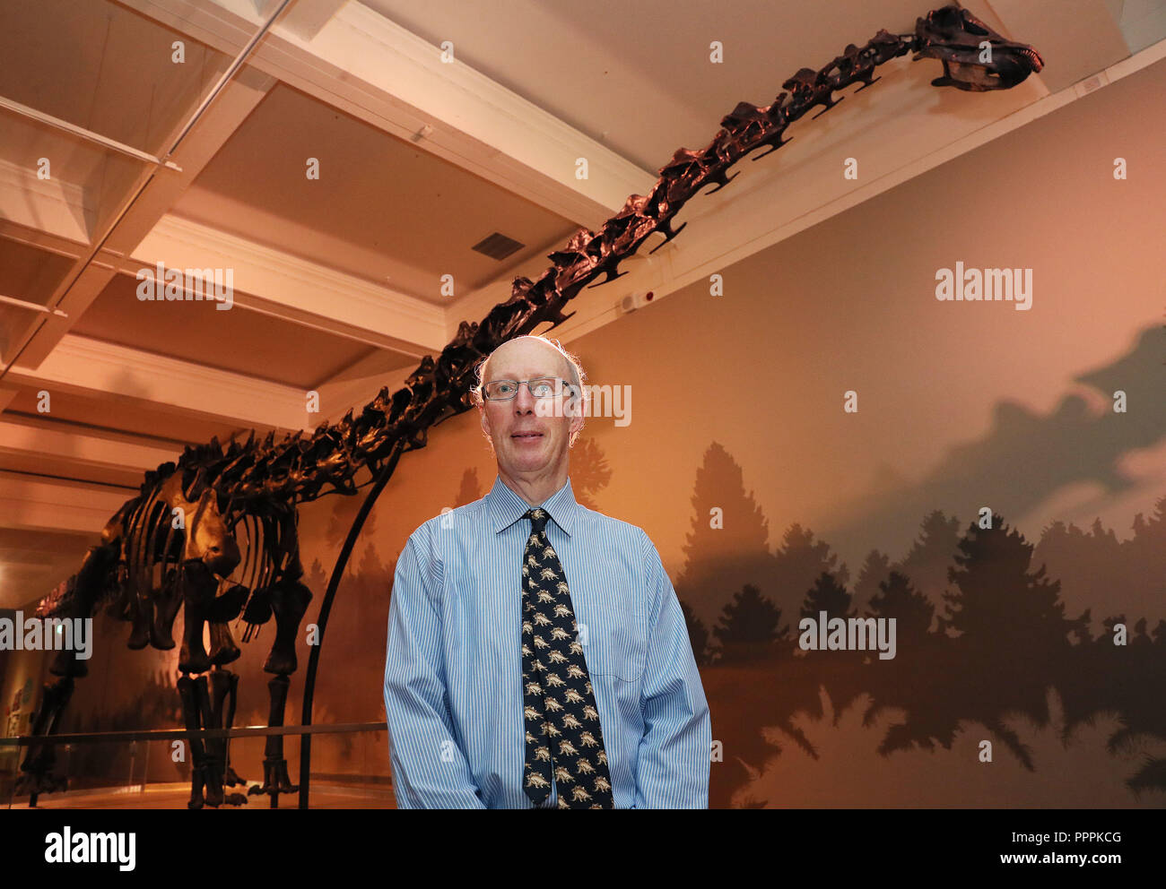 Part of dippy on tour hi-res stock photography and images - Alamy