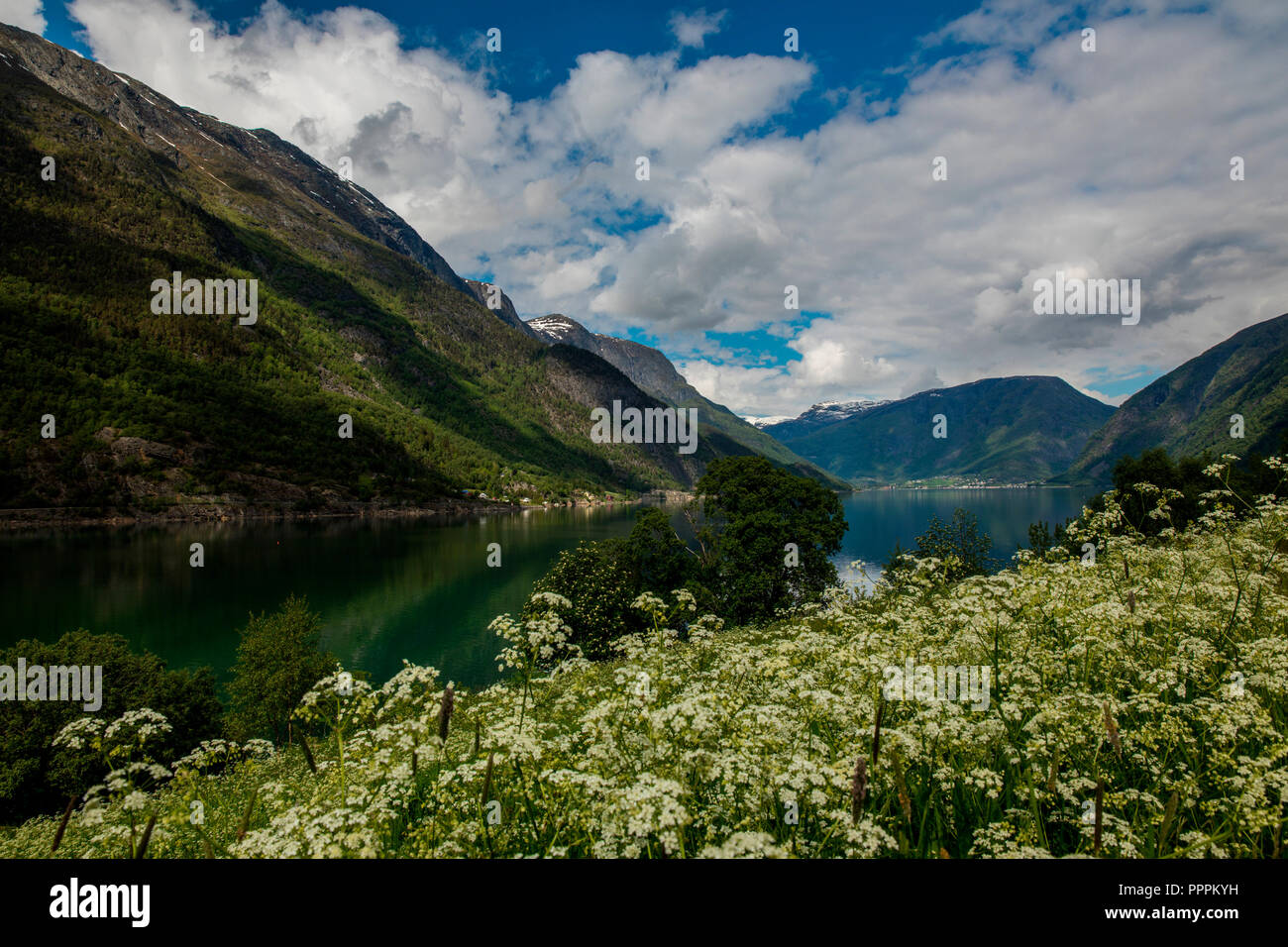 Norway spring fjord hi-res stock photography and images - Alamy