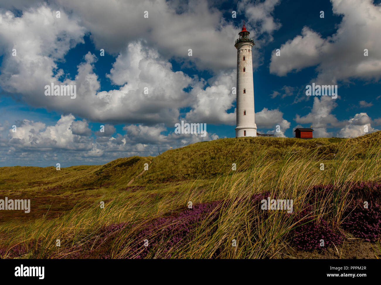 Hvide sande lighthouse hi-res stock photography and images - Alamy