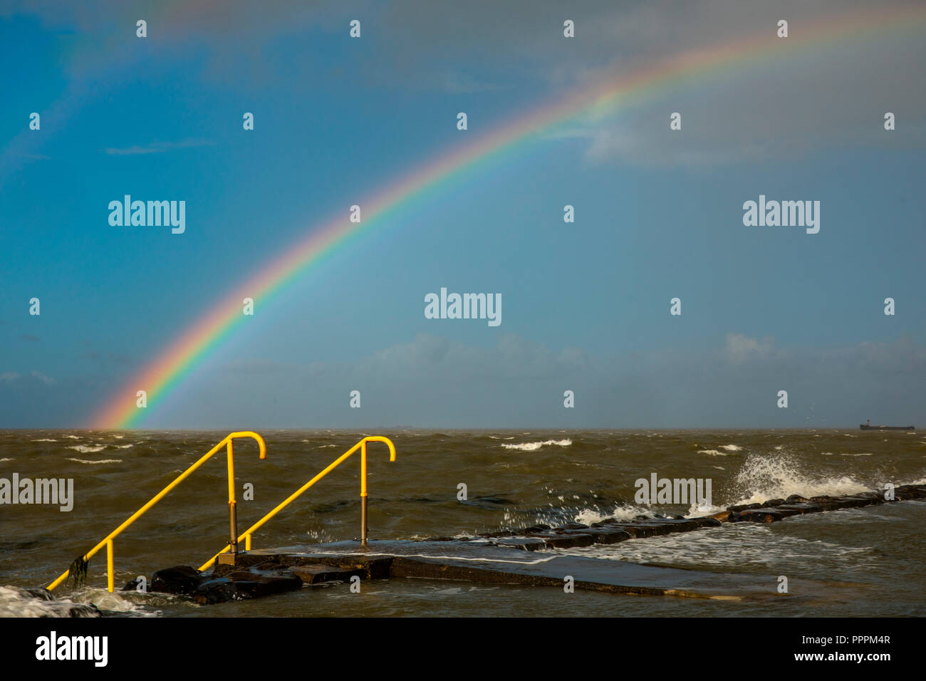 Hamburger hallig hi-res stock photography and images - Alamy