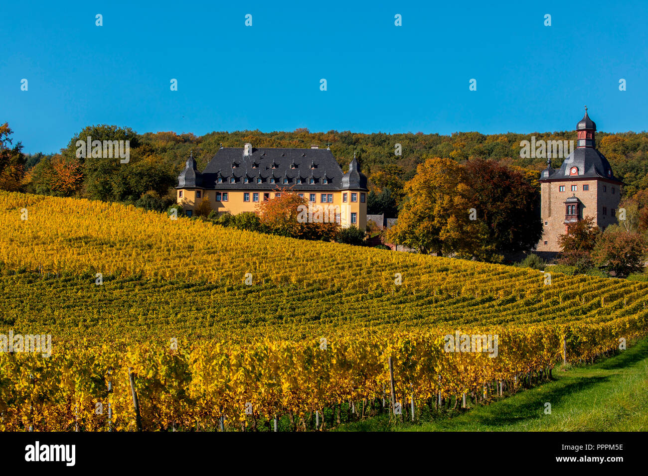 Rheingau castle hi-res stock photography and images - Alamy