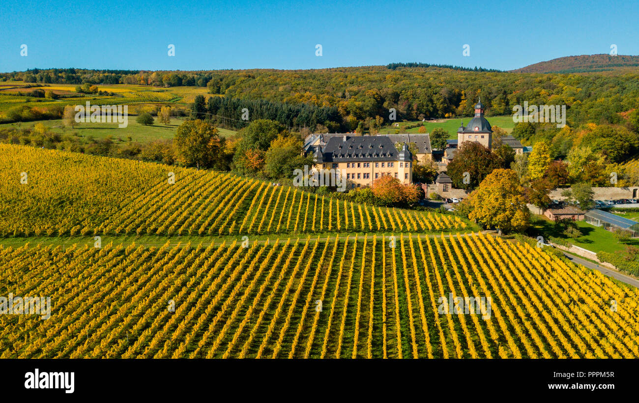 Rheingau and vineyards hi-res stock photography and images - Alamy