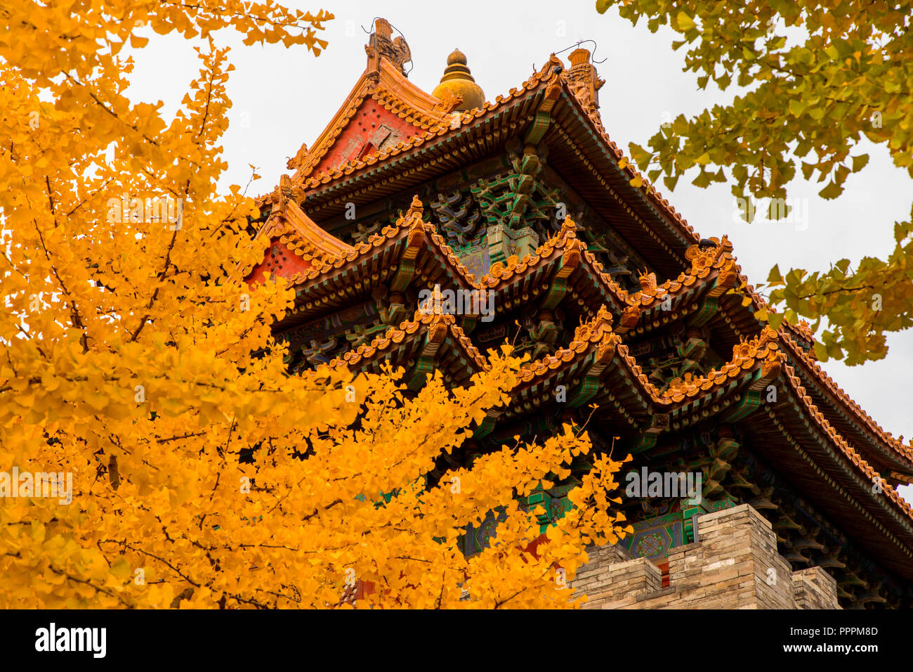 Forbidden City, Beijing, Beijing Shi, China Stock Photo - Alamy
