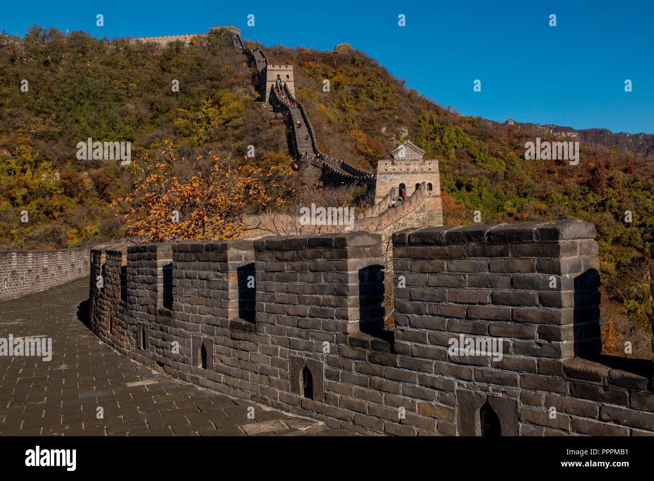 Great chinese wall, Mutianyu, Beijing Shi, China Stock Photo - Alamy