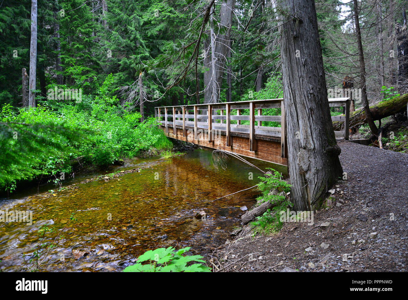 Bridge Over Stream Stock Photo - Alamy