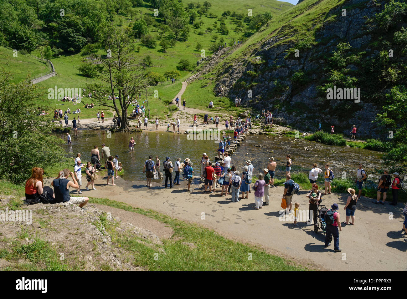 Dovedale a valley in the Peak District of England Stock Photo - Alamy