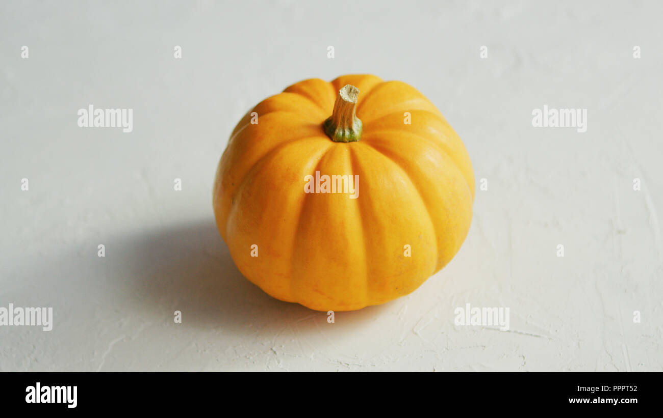 With the yellow middle hi-res stock photography and images - Alamy