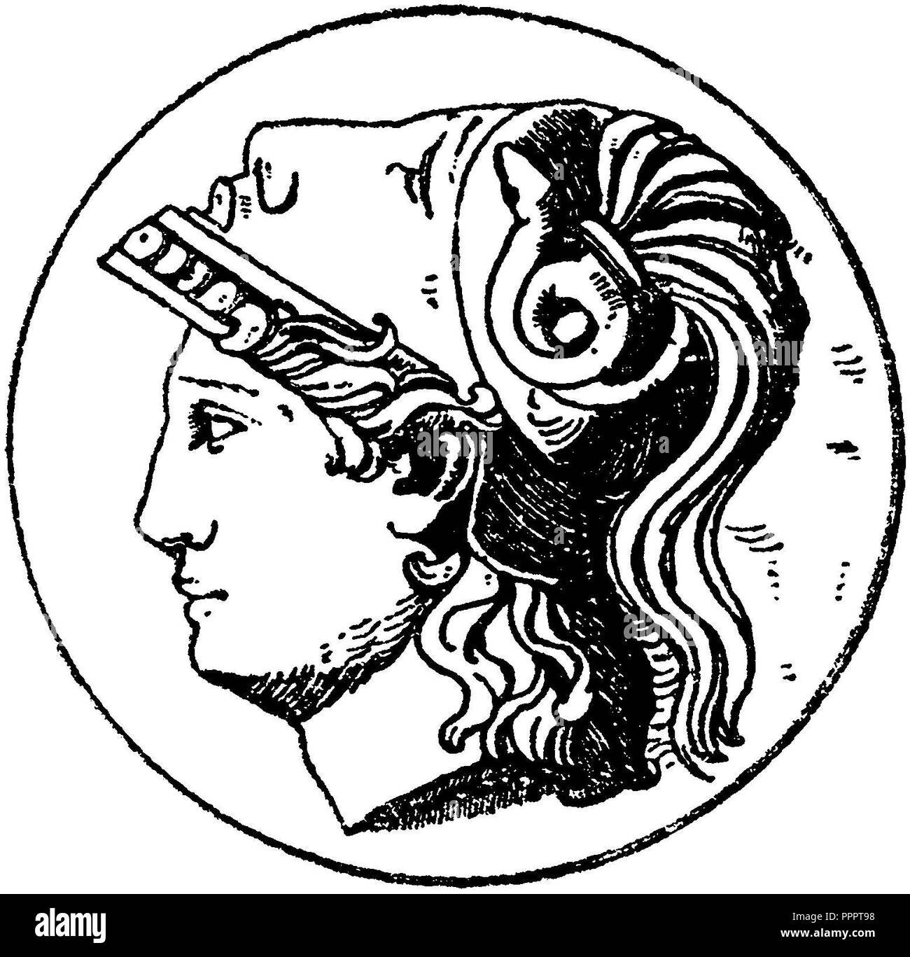 Minerva head hi-res stock photography and images - Alamy