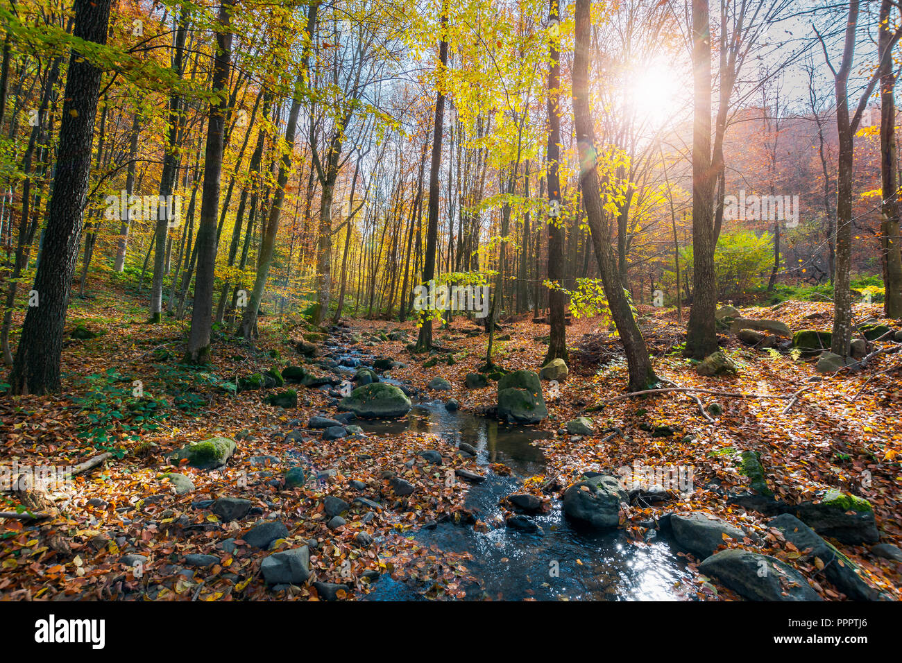 Brook scenery hi-res stock photography and images - Alamy