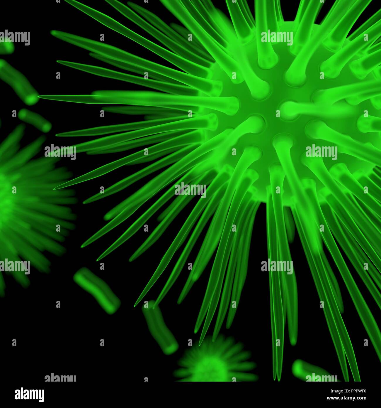 Microscope lactic acid bacteria hi-res stock photography and images - Alamy