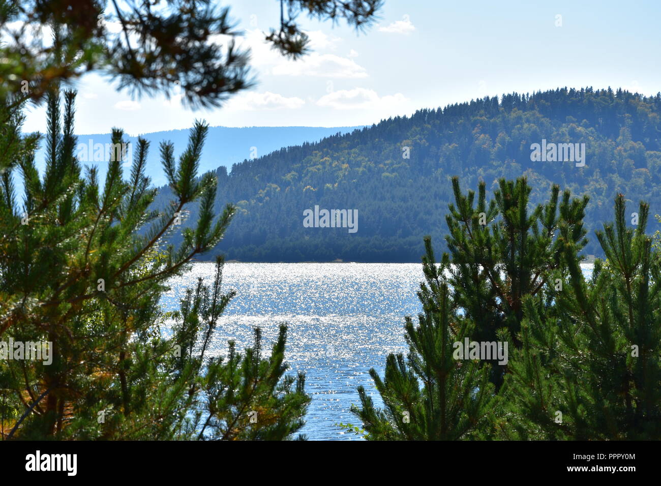 Landscape of the area around Batak Lake, Bulgaria Stock Photo - Alamy