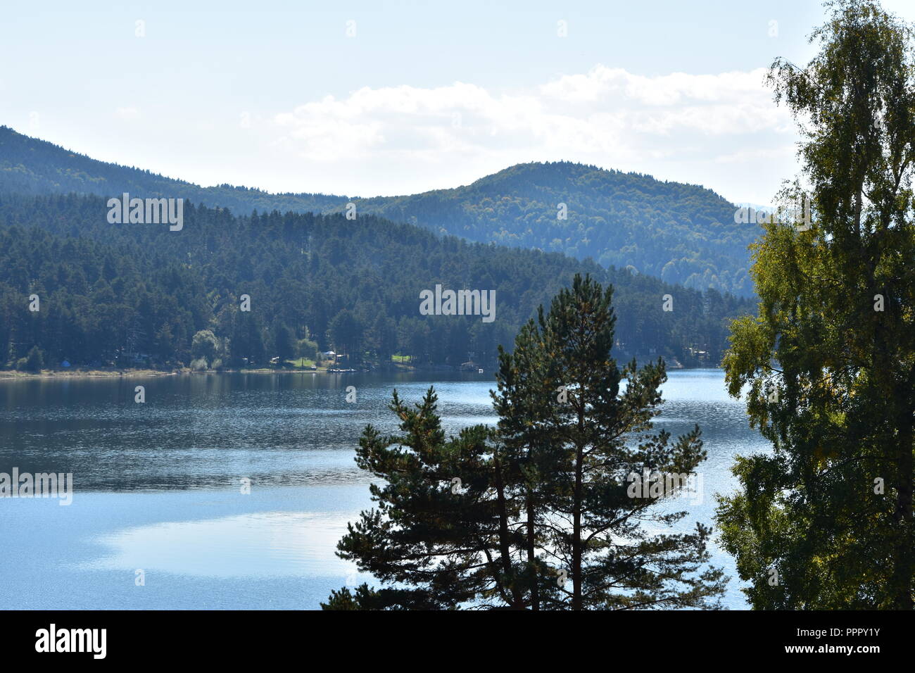 Landscape of the area around Batak Lake, Bulgaria Stock Photo - Alamy