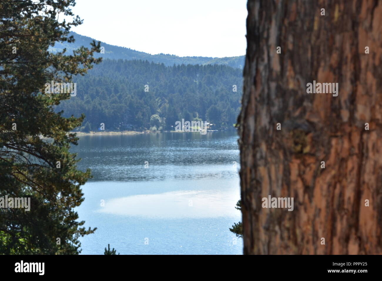 Landscape of the area around Batak Lake, Bulgaria Stock Photo - Alamy