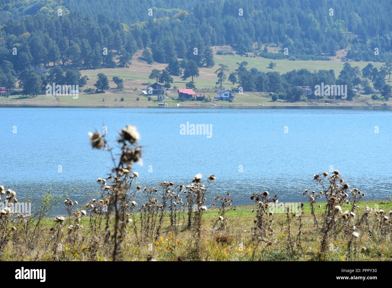 Landscape of the area around Batak Lake, Bulgaria Stock Photo - Alamy