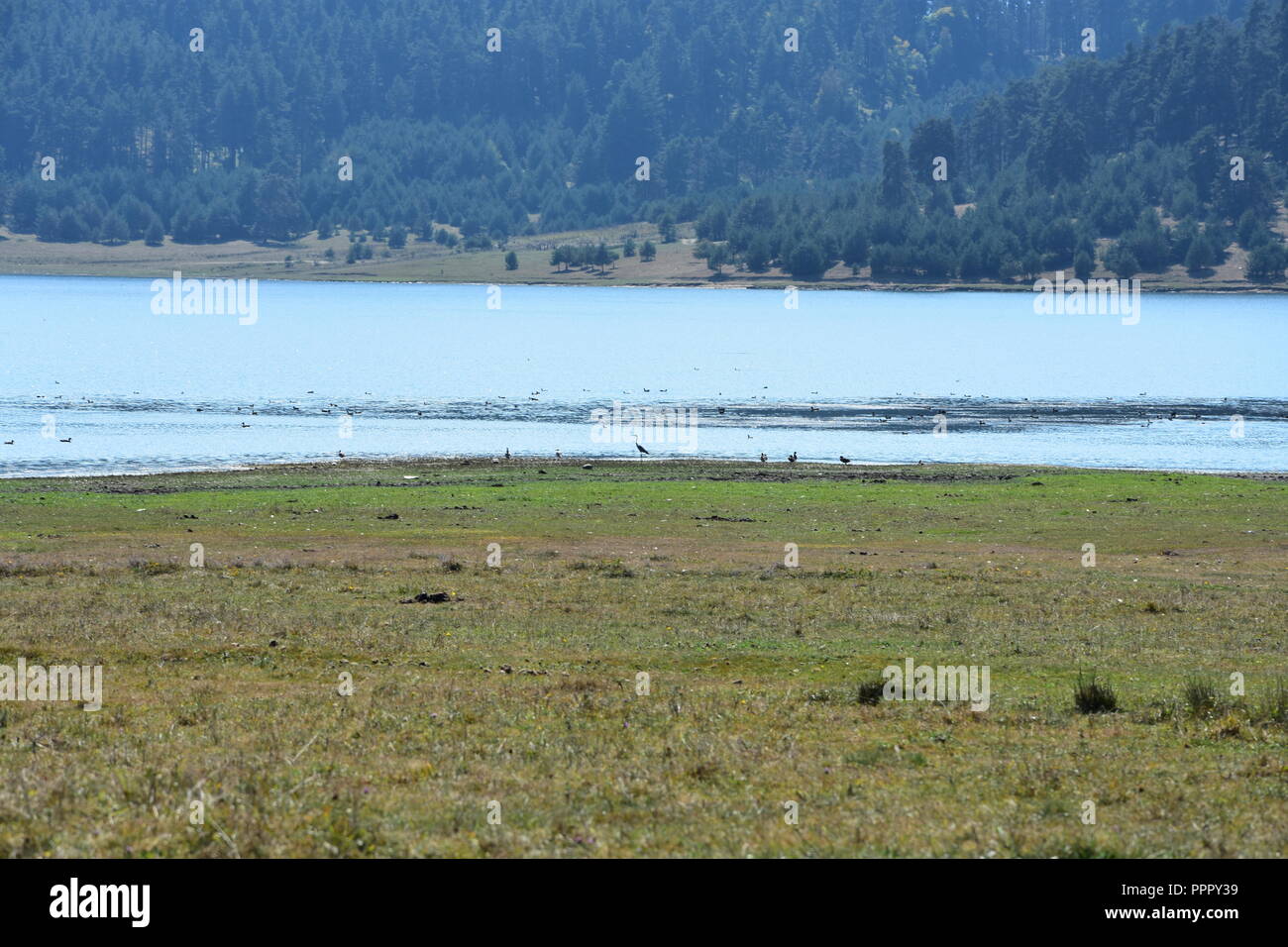 Landscape of the area around Batak Lake, Bulgaria Stock Photo - Alamy