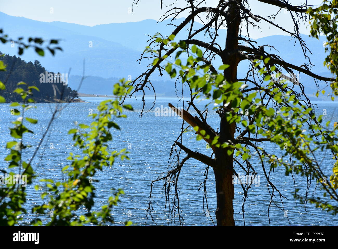 Landscape of the area around Batak Lake, Bulgaria Stock Photo - Alamy