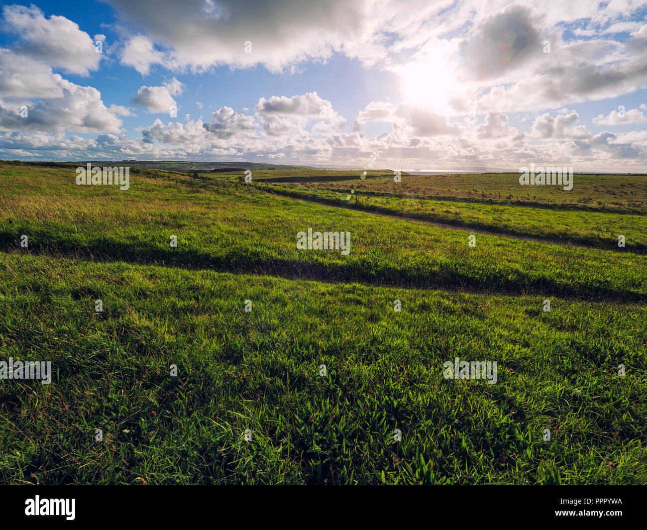 sunshine countryside in giant causeway,Northern Ireland Stock Photo - Alamy