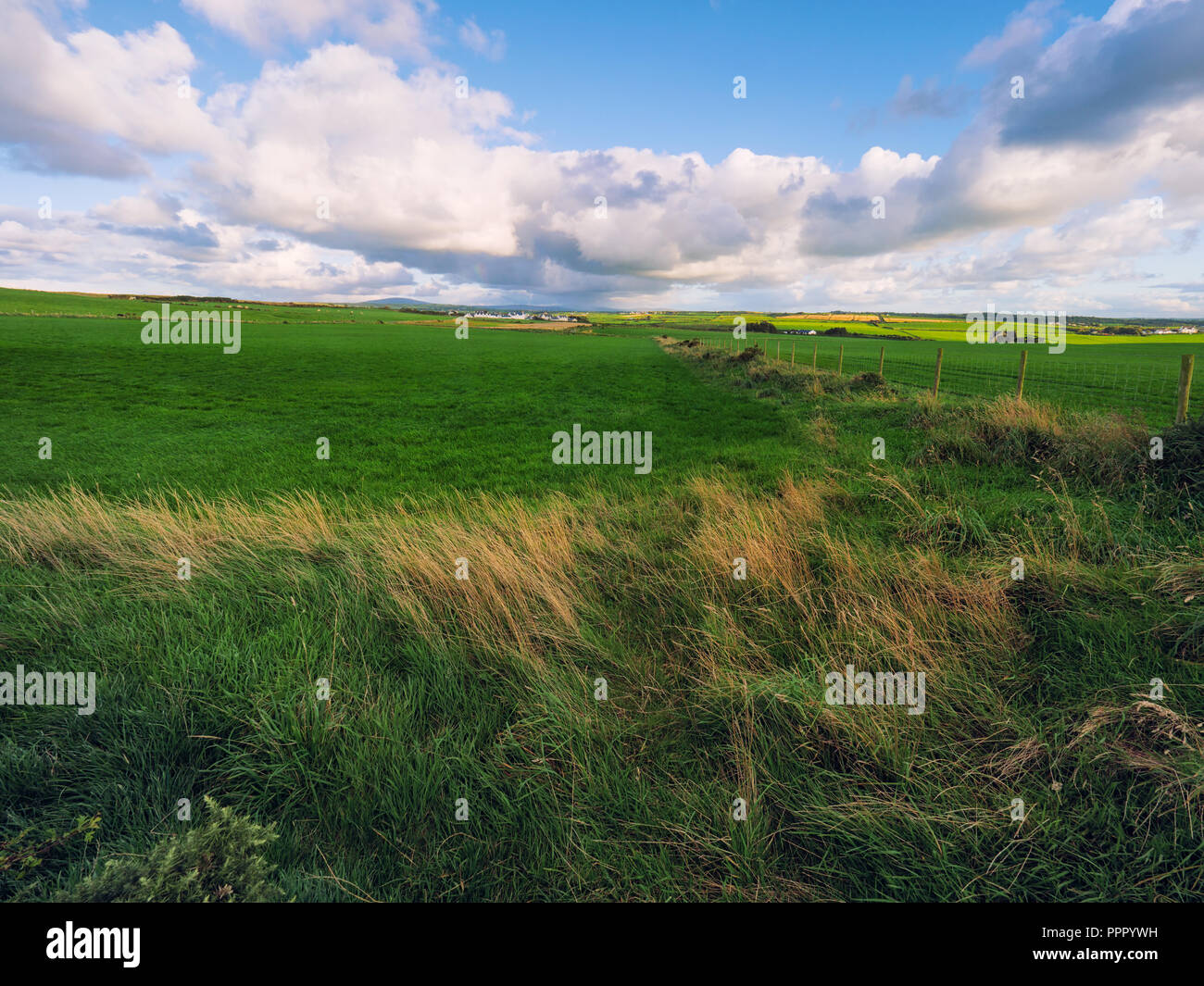 sunshine countryside in giant causeway,Northern Ireland Stock Photo - Alamy