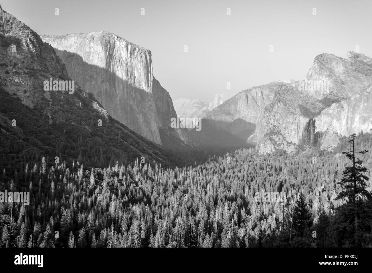 Free viewpoint Black and White Stock Photos & Images - Alamy
